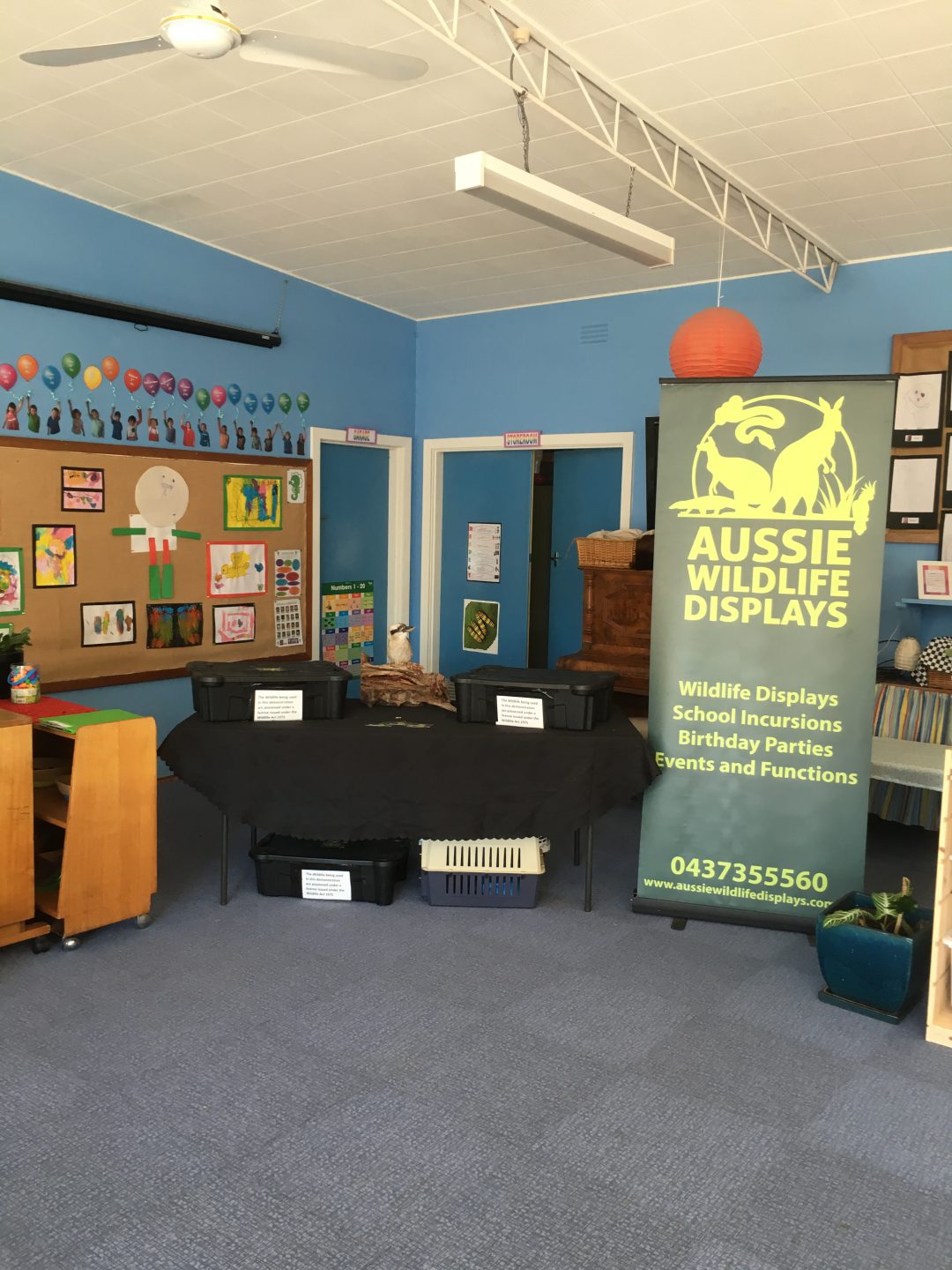 Primary and Secondary School Incursions | Aussie Wildlife Displays