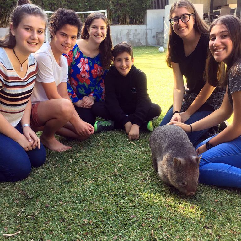 Children’s Wildlife Parties | Aussie Wildlife Displays