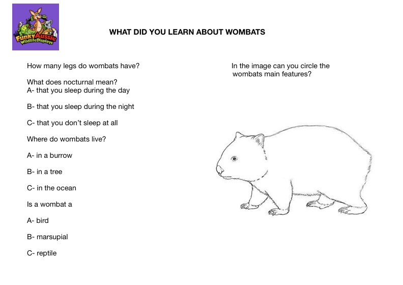 Common Wombat learning resource – Foundation to Grade 2 | Aussie ...